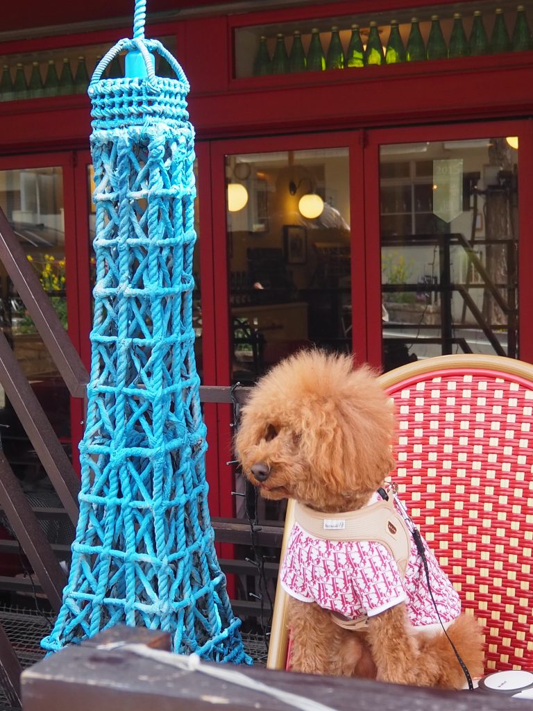 わんこ（愛犬）と一緒に行ける旅行バスツアー｜わんバス